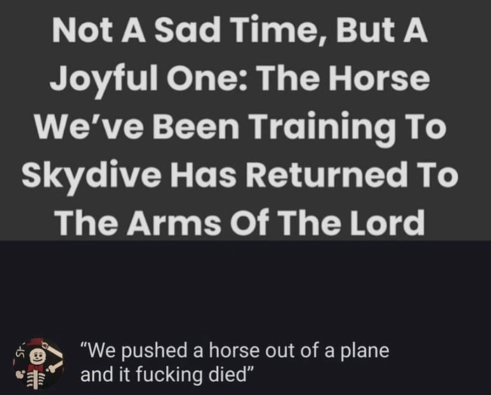 Why would the Lord want a horse that resembles a dropped lasagna?? - 9GAG
