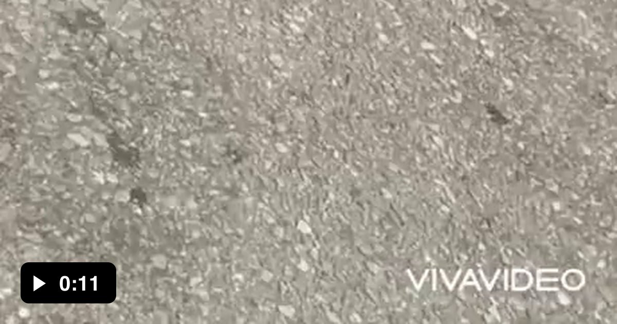 Lets help the poor sloth - 9GAG