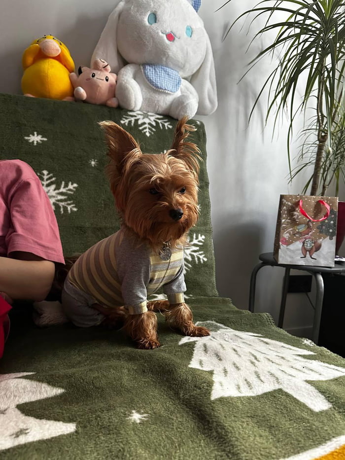 Say hi to Patrick! - 9GAG