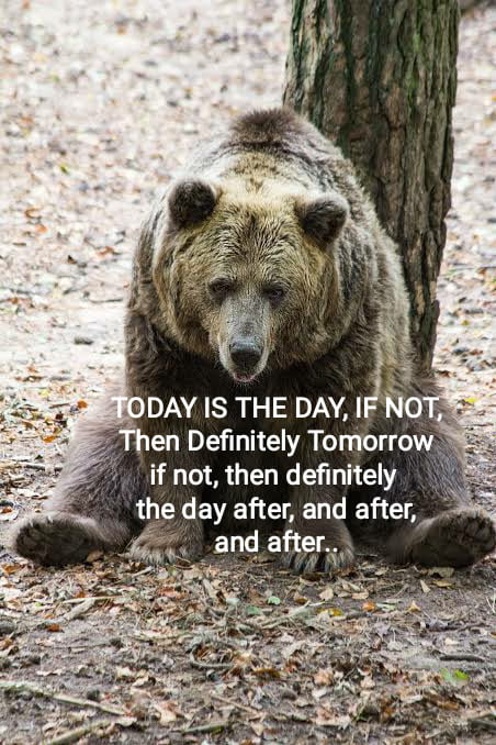 Bear the pain... - 9GAG