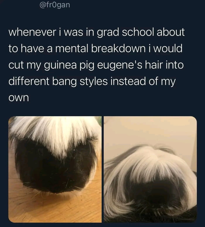 Eugene got the coolest hairstyles - 9GAG