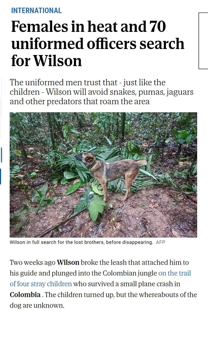 A great headline - 9GAG