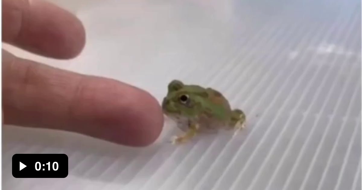 9Gag OPs whenever they see a pp - 9GAG