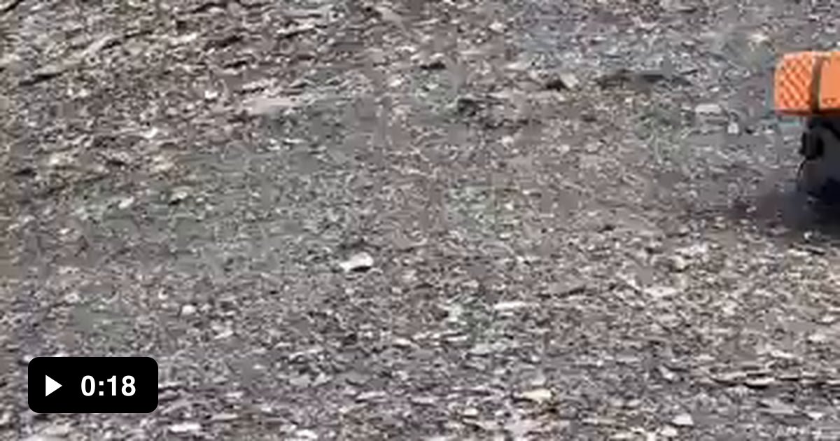 Sneaky Little Hobbitses - 9GAG