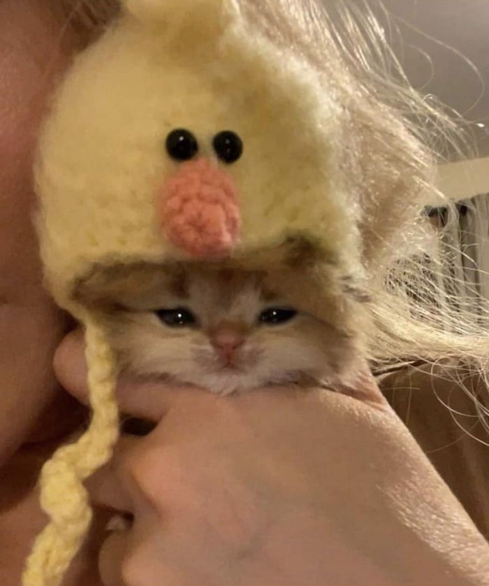 He is soo smol - 9GAG