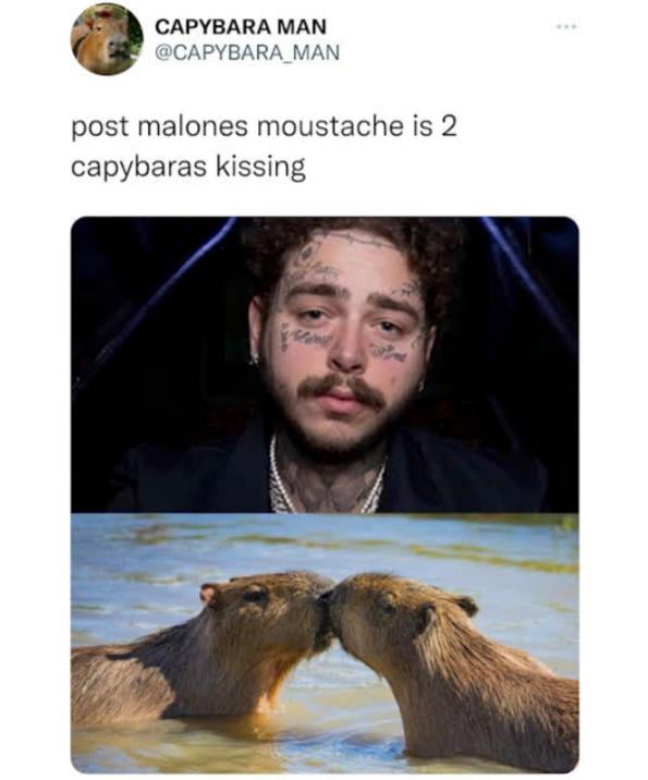 Post Malone's moustache is 2 capybaras kissing - 9GAG