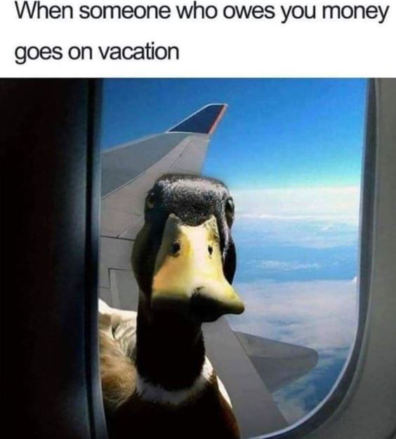 Ducking unbelievable, Im gonna duck you up when this plane lands! - 9GAG