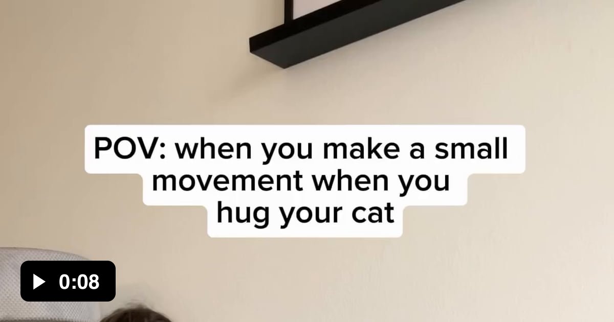 Topical Cat Behavior - 9GAG