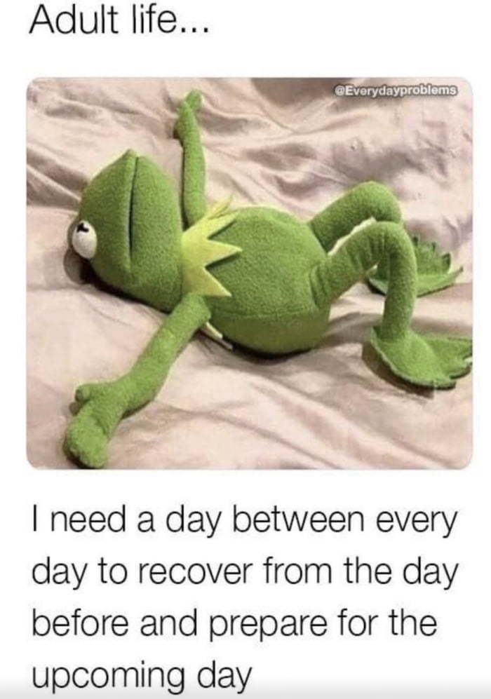 Adult life - 9GAG