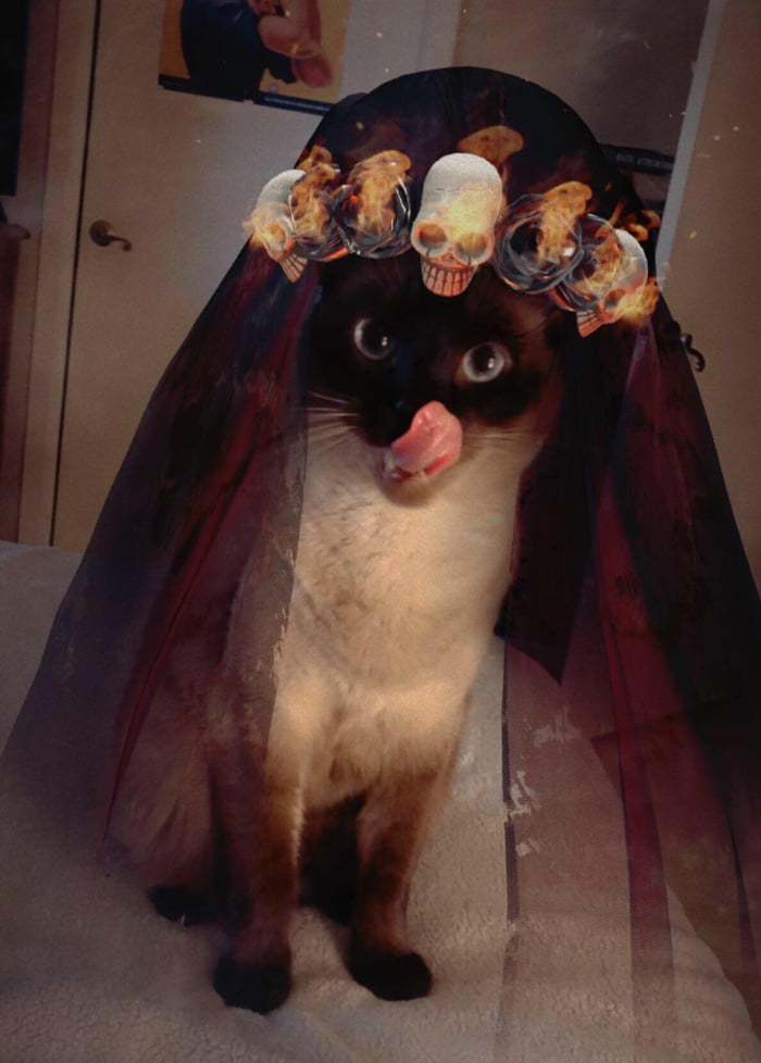 SPoOoOky DeRp - 9GAG