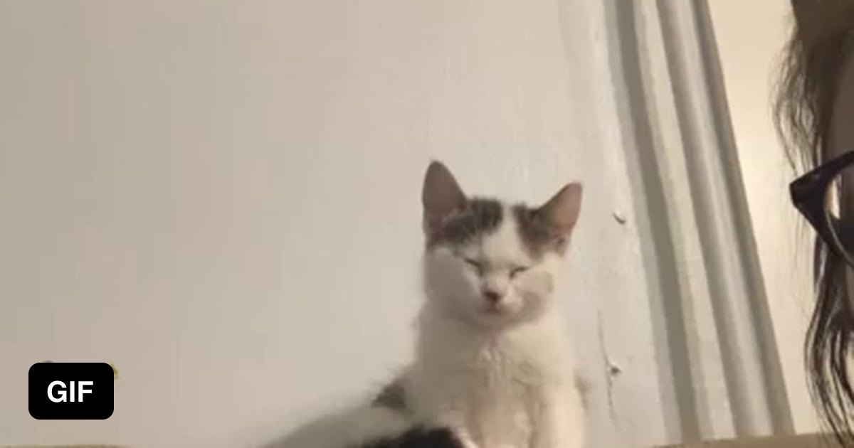 Fighting sleep 🥺 - 9GAG