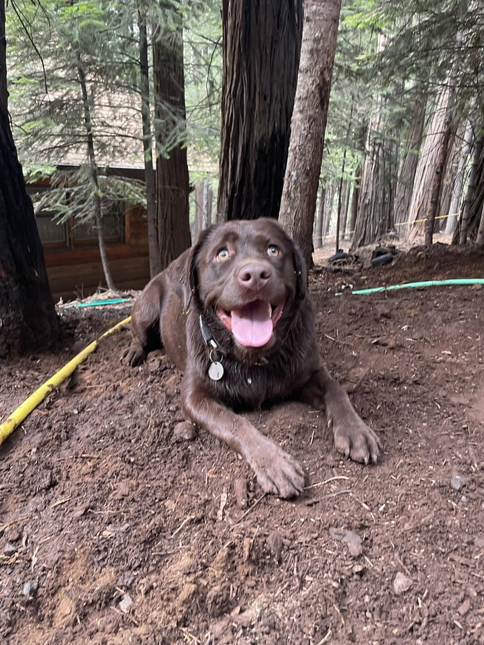 It has to be Shasta! Bonus! - 9GAG