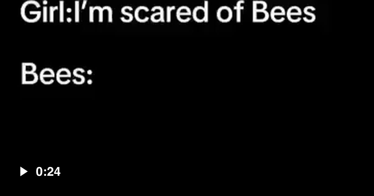 Bees👍 - 9GAG