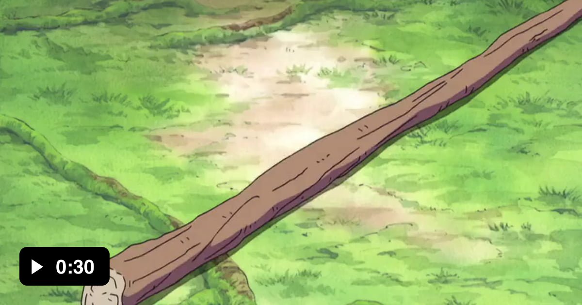 One Piece Stick - 9GAG