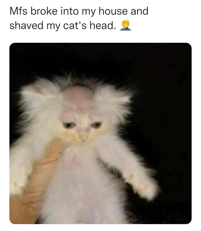 Nooooo who would think of that?! 🤣 - 9GAG