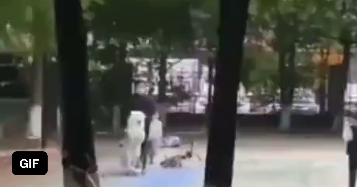 Move b*tch I'm the son now - 9GAG