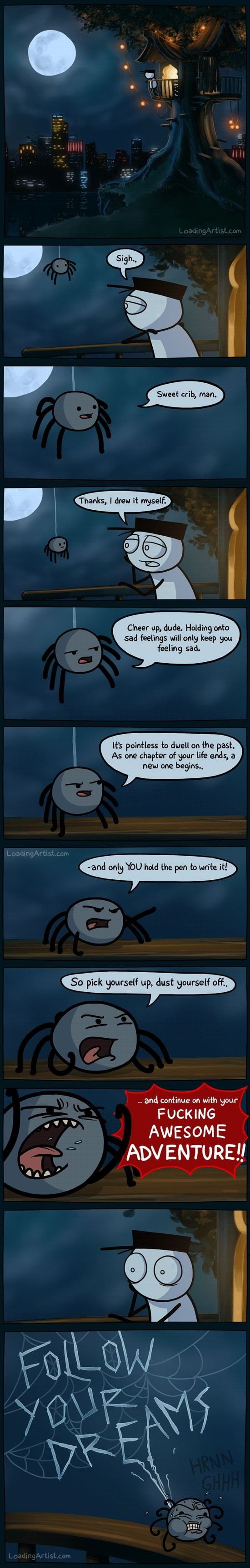 Spider - 9GAG