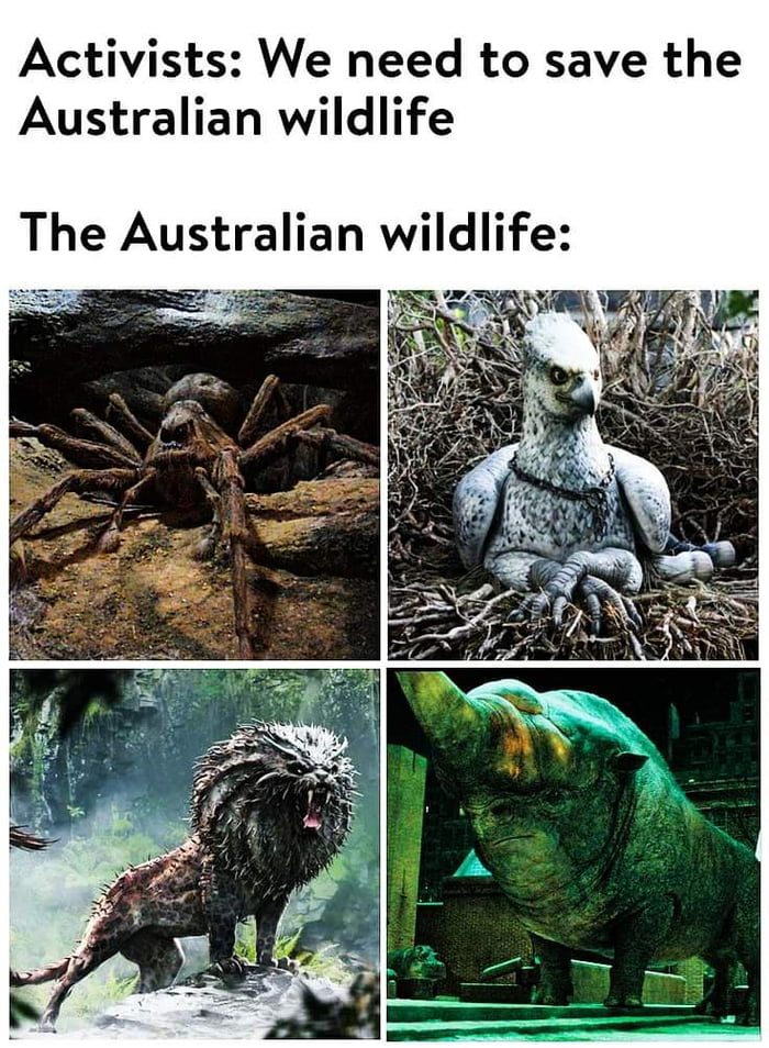 Australian wildlife! - 9GAG