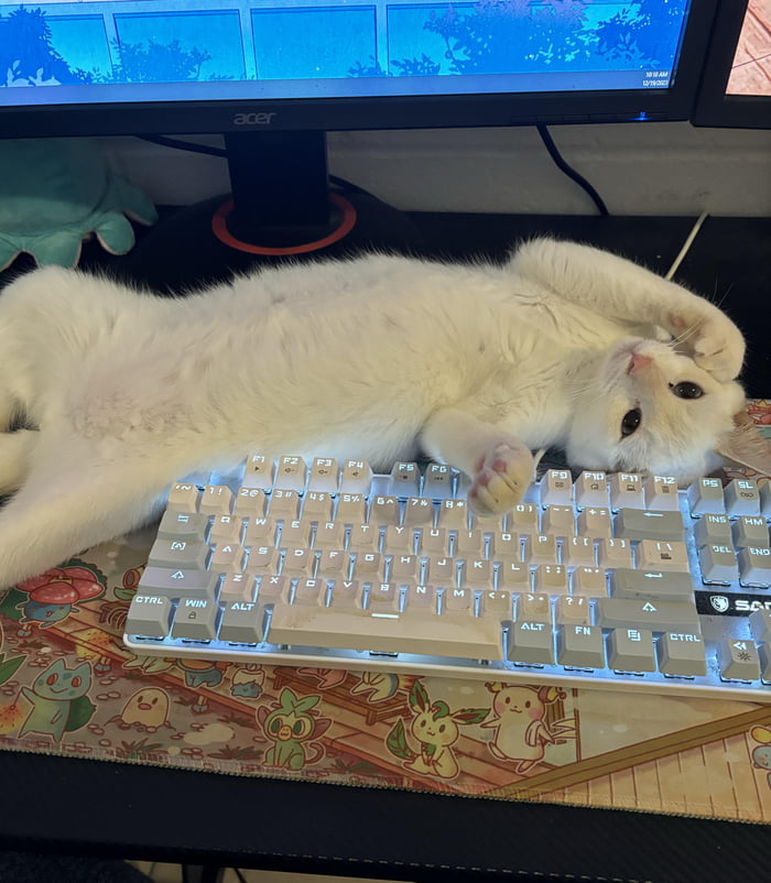 Ok, enough computer time. - 9GAG