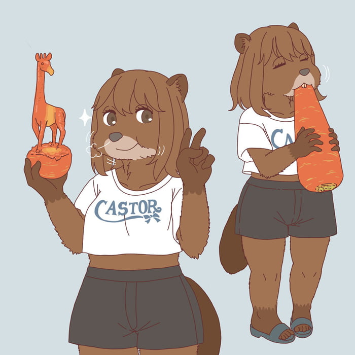 Beavers are so hot right now - 9GAG