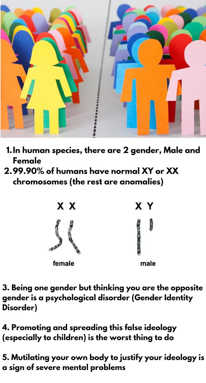 Triggered trans in the comments - 9GAG