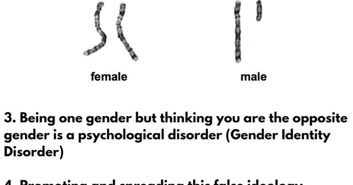 Triggered trans in the comments - 9GAG