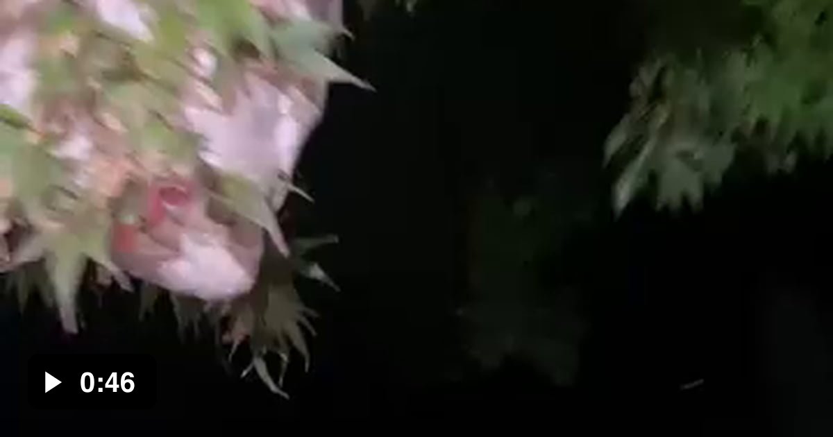 Hans, get ze Flammenwerfer. - 9GAG