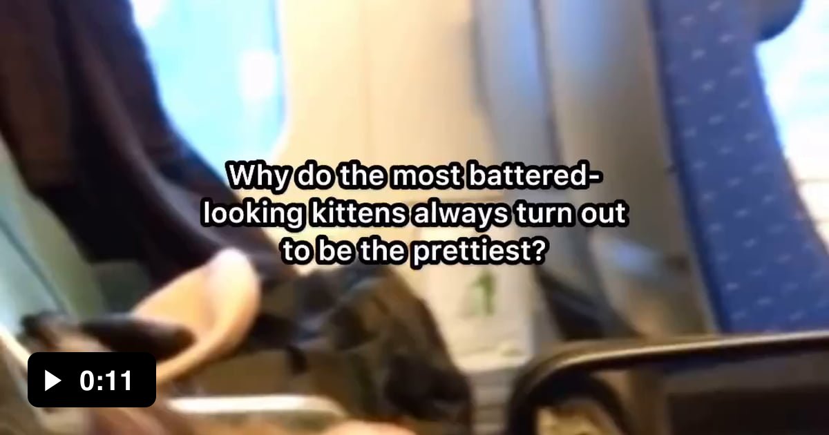 Simply Cute 9gag