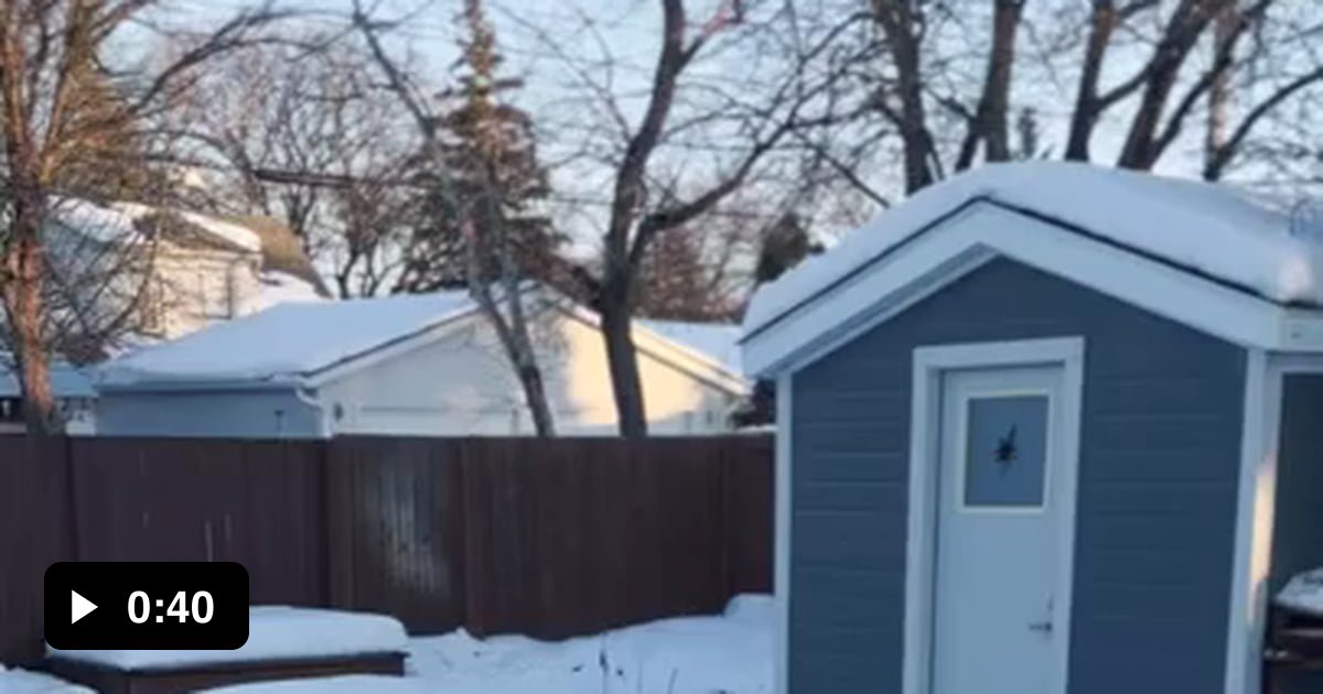 She’s been doing this weird running semi-sploot when we get home lately ...