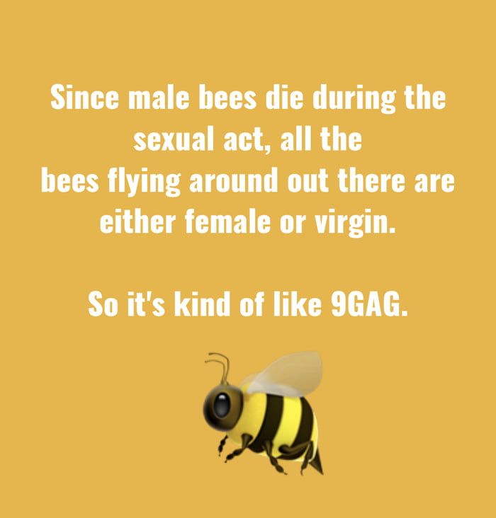 Bee facts - 9GAG