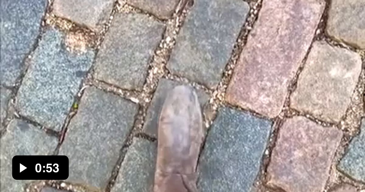 Shoeshine at work - 9GAG