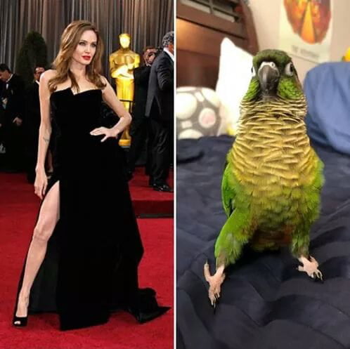 Which one got more style? - 9GAG