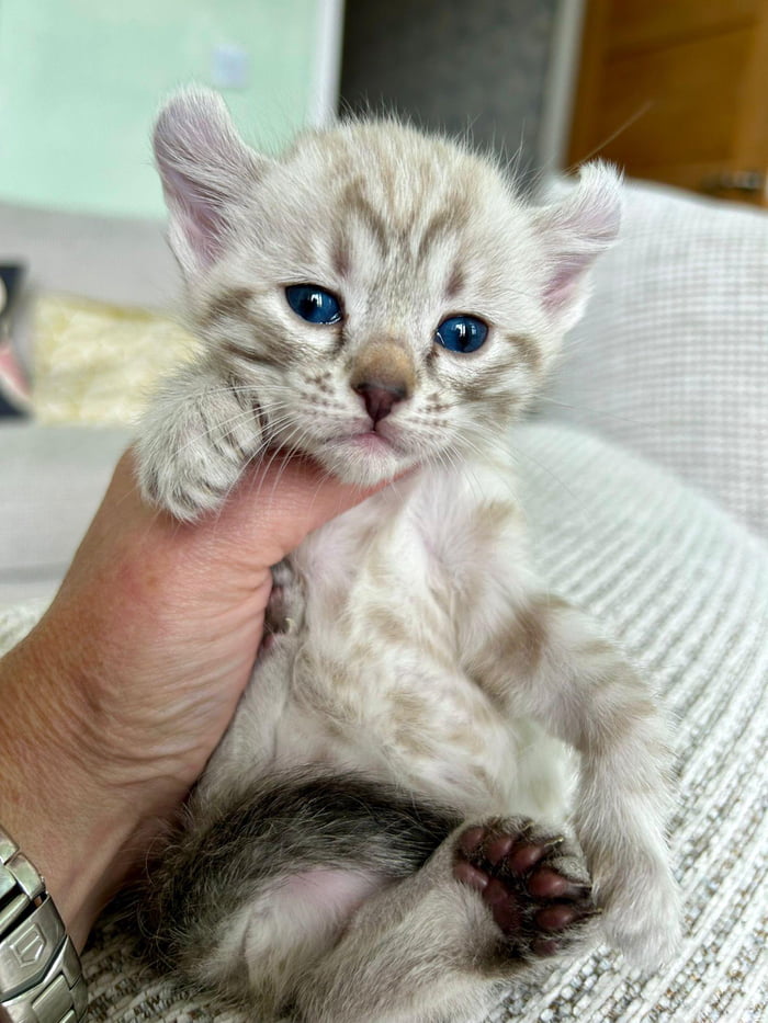 Can’t say no to this lil face. - 9GAG