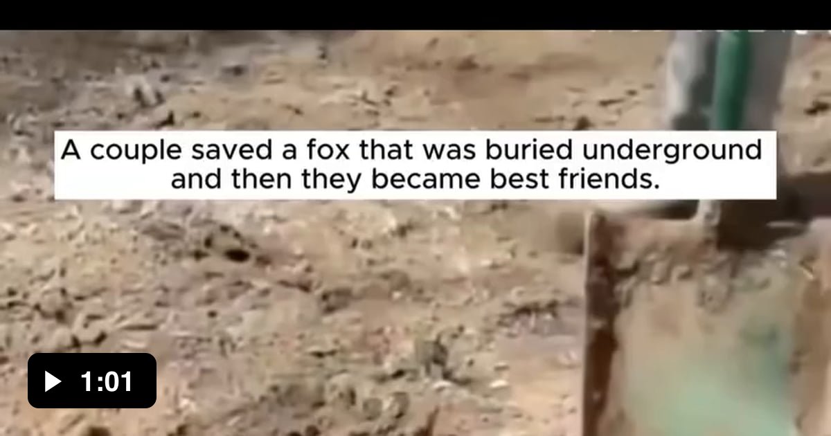 Haters gonna say it's fake - 9GAG