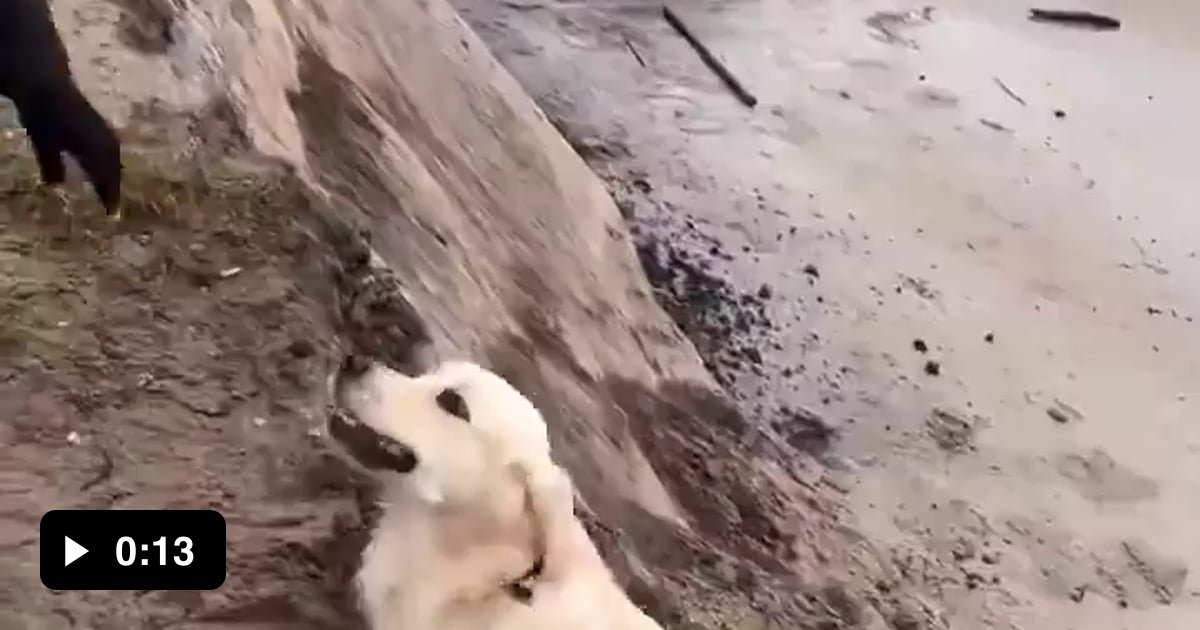 It was never about pulling him up… - 9GAG