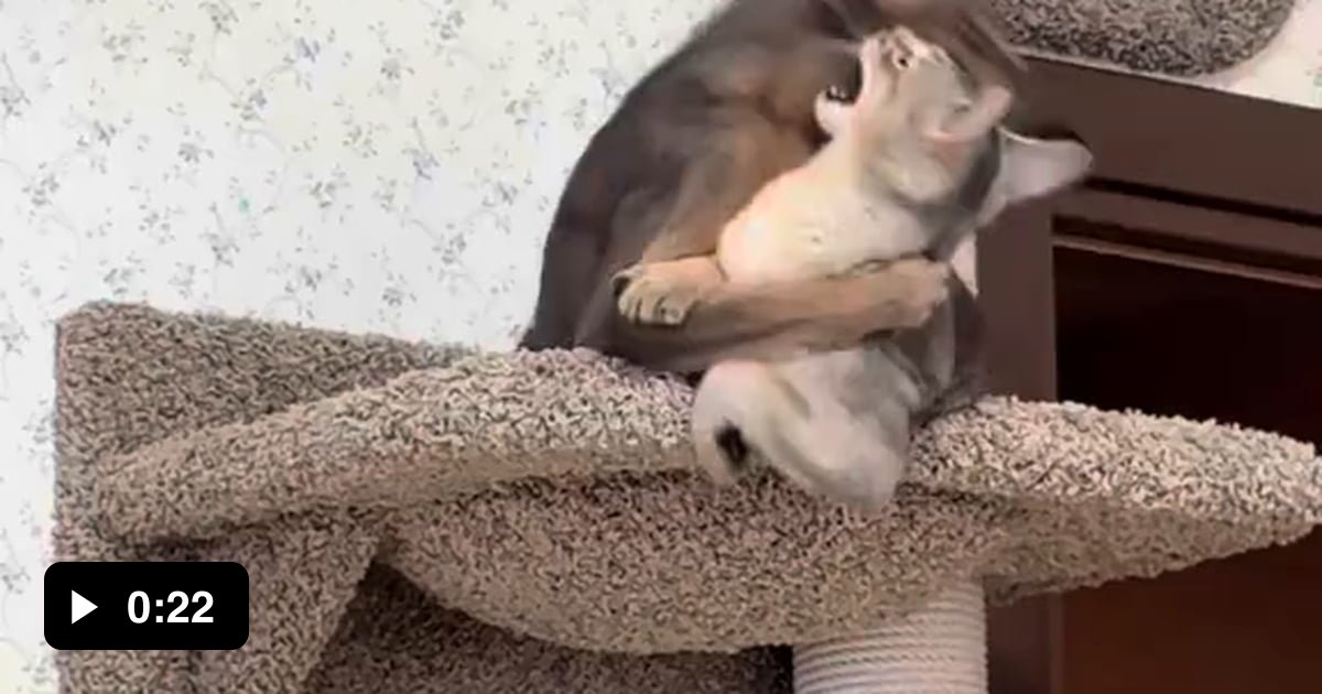 Long live the king - 9GAG