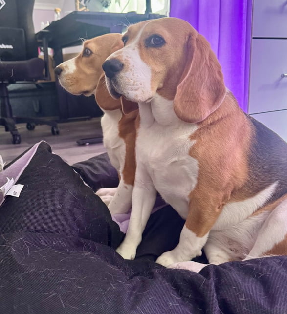 The moment when he was deeply and permanently offended, but he is ready to listen to your ...