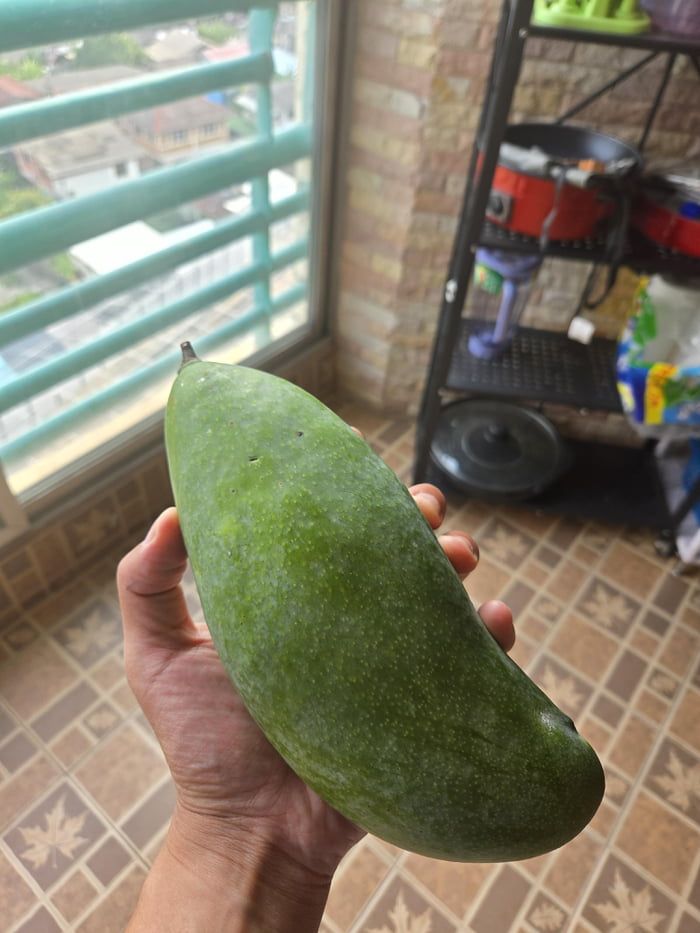 Of a green mango - 9GAG