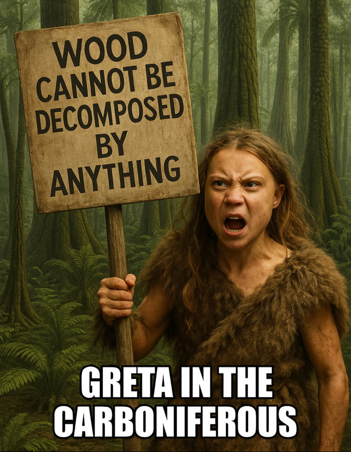 Millions of years ago, there weren’t any microorganisms capable of decomposing wood (similar to ...