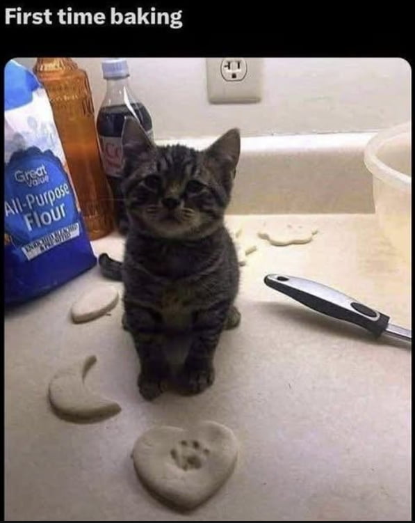 Baker apprentice - 9GAG