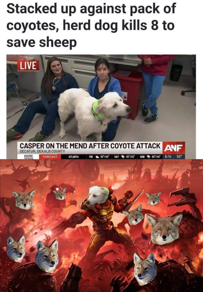 Those who tasted his bite named him… The Doom Slayer - 9GAG