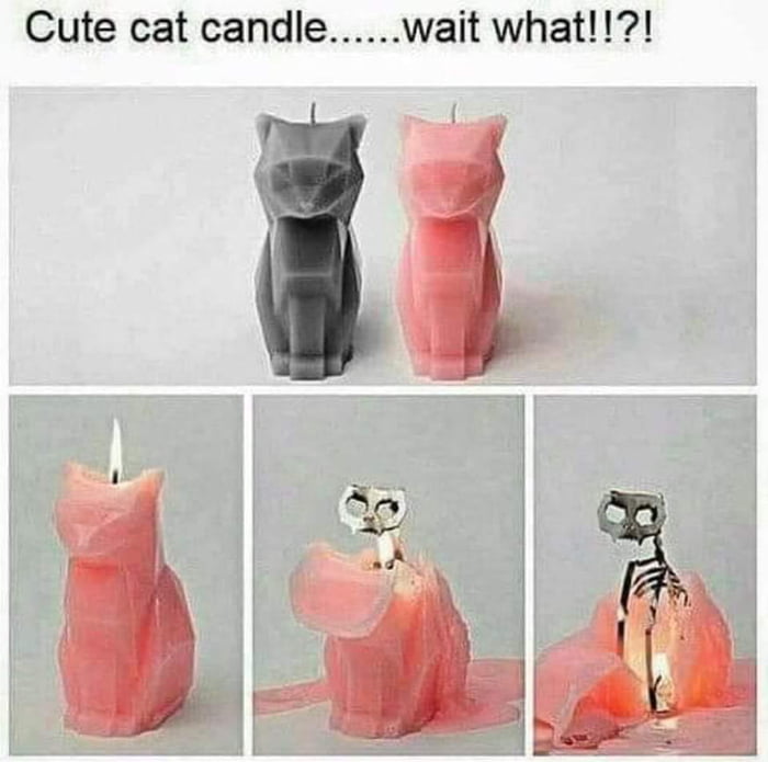 Cat candles - 9GAG