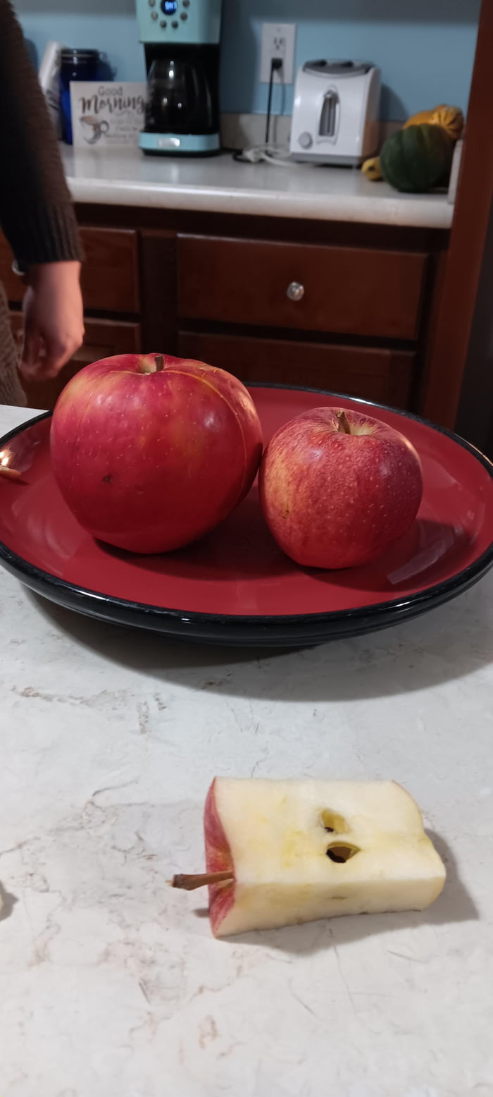 Of an apple (normal size apple for comparison) - 9GAG