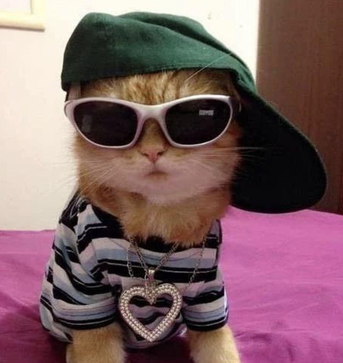 The meow rapper - 9GAG