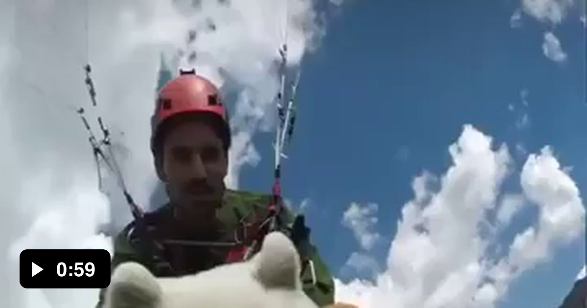 And now for something completely different - 9GAG