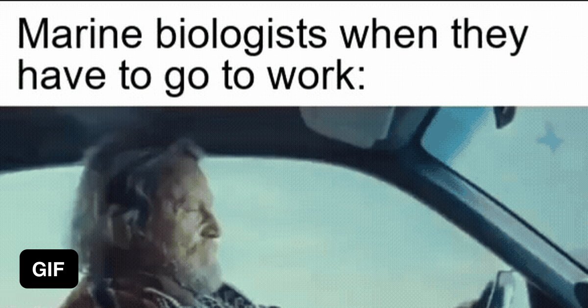 Maybe I'm a Marine biologist - 9GAG
