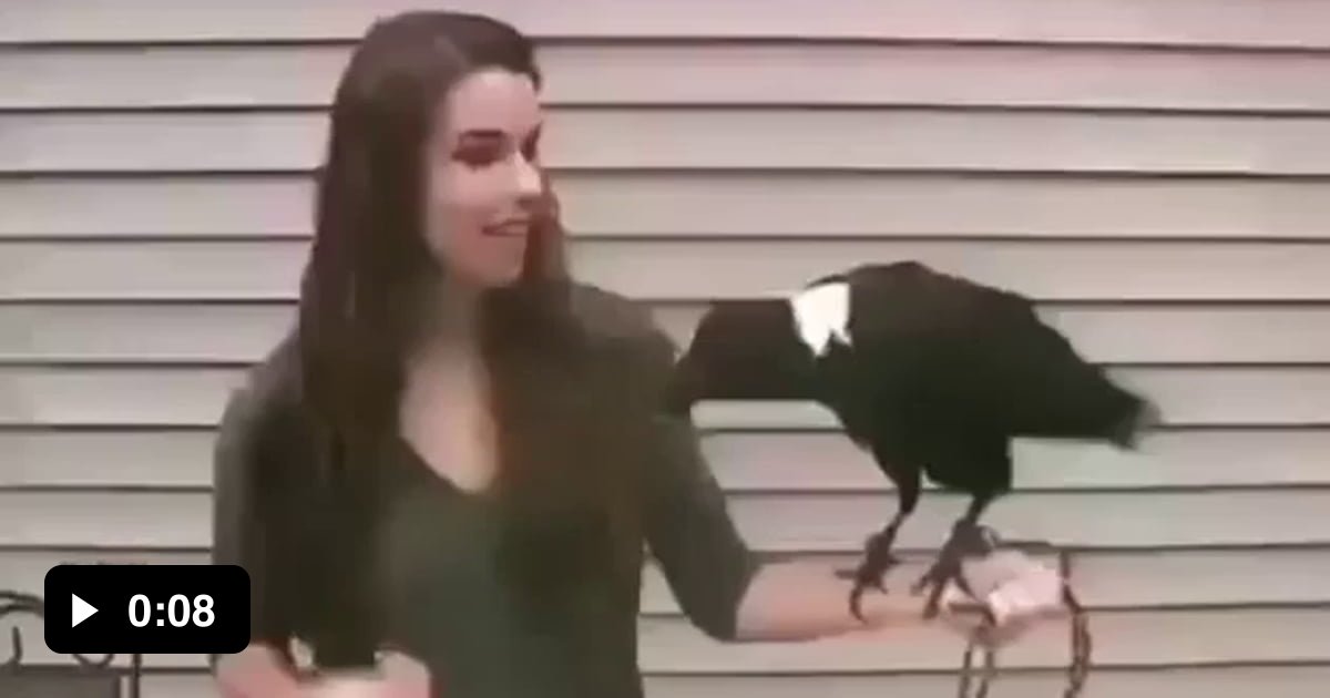 Japanese Crow - 9GAG