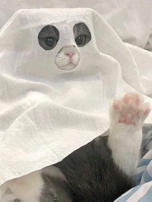 It's his first role, playing a scary ghost - 9GAG