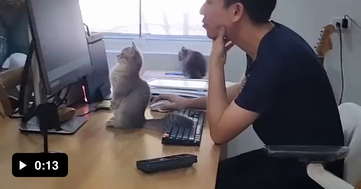Senior developer overseeing the juniors code - 9GAG