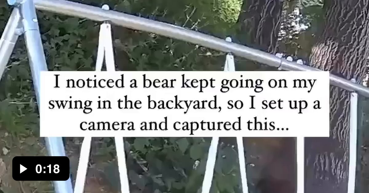 This sneaky bear loves to ride the swing - 9GAG
